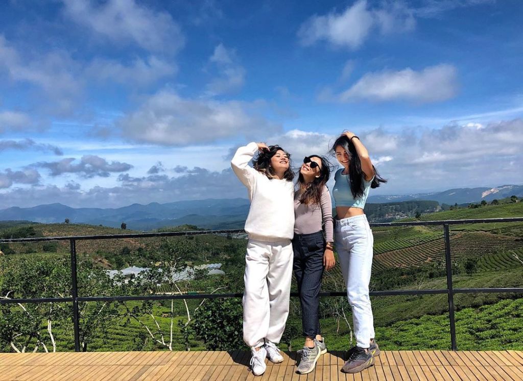 Review Đồi chè Cầu Đất săn mây Đà Lạt từ trên cao - Halo Travel