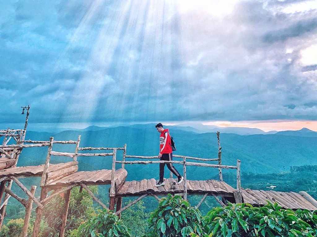 Review Đồi chè Cầu Đất săn mây Đà Lạt từ trên cao - Halo Travel