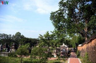 Chùa Bổ Đà Bắc Giang: ngôi chùa cổ kính ngàn năm tuổi - HaloTravel