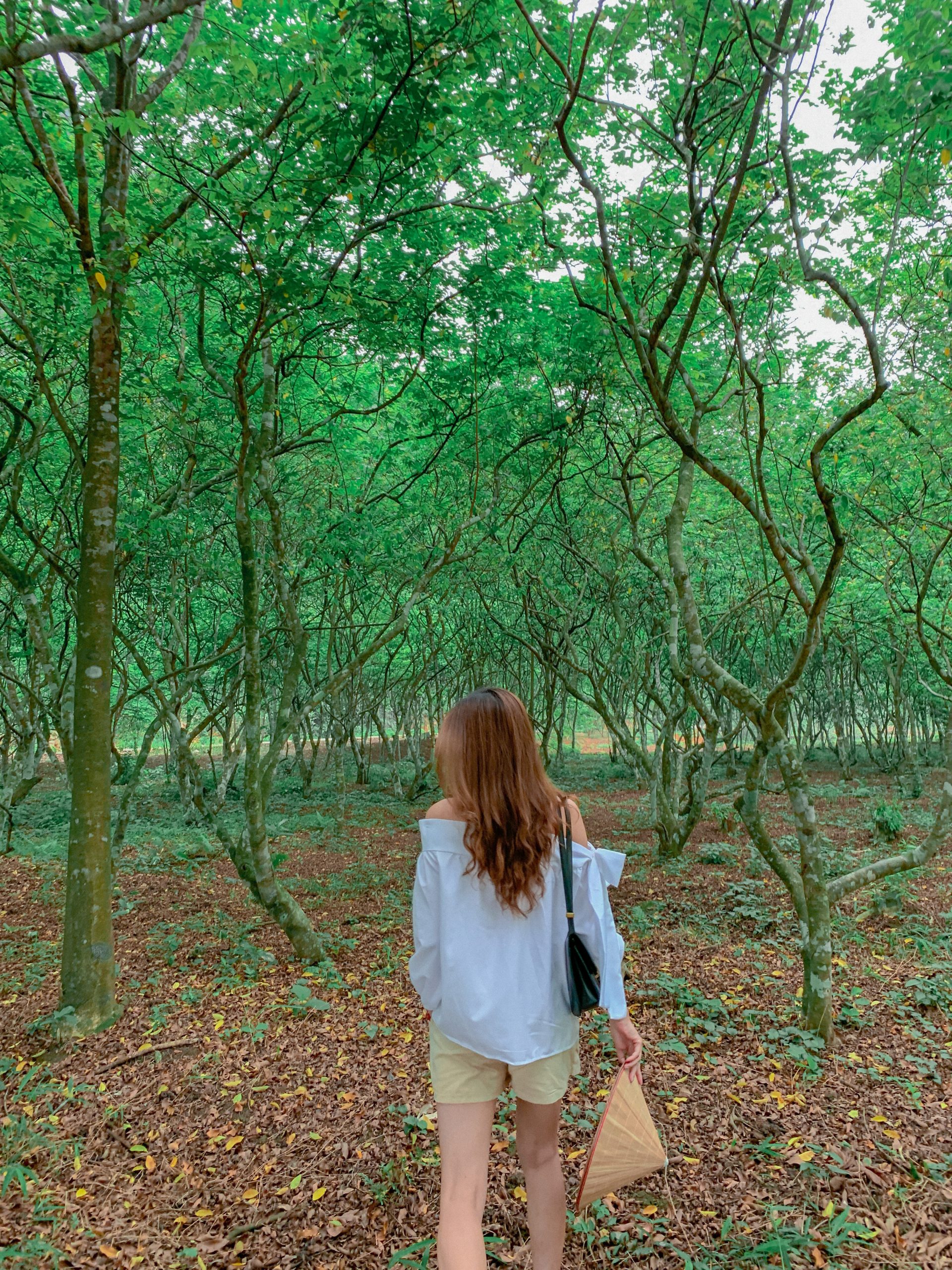 Review toàn tập về khu du lịch Thung Nham Ninh Bình - Halo Travel