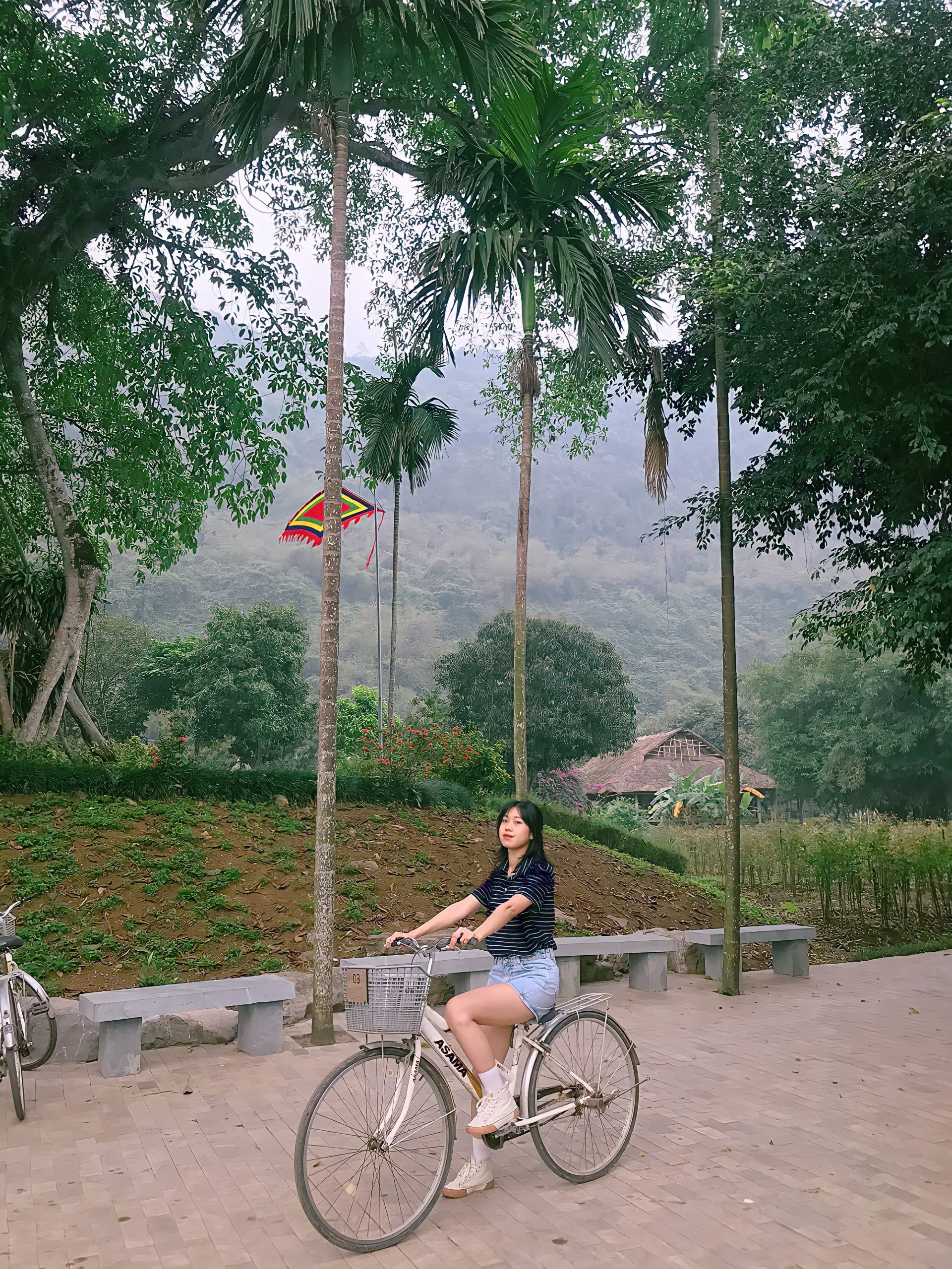 Review toàn tập về khu du lịch Thung Nham Ninh Bình - Halo Travel