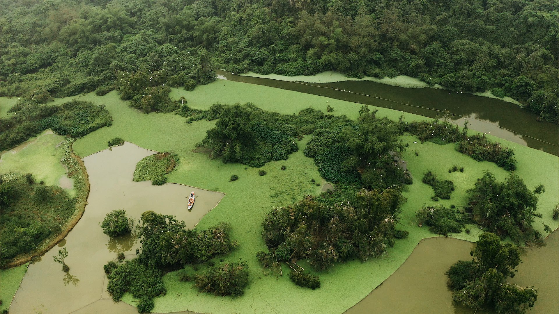 Review toàn tập về khu du lịch Thung Nham Ninh Bình - Halo Travel