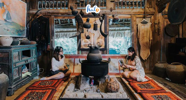 Review ngôi nhà trên cây Đào Anh Khánh Tree House - Halo Travel