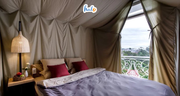 Yolo camping house: Hostel trắng view rừng thông ở Đà Lạt - Halo Travel