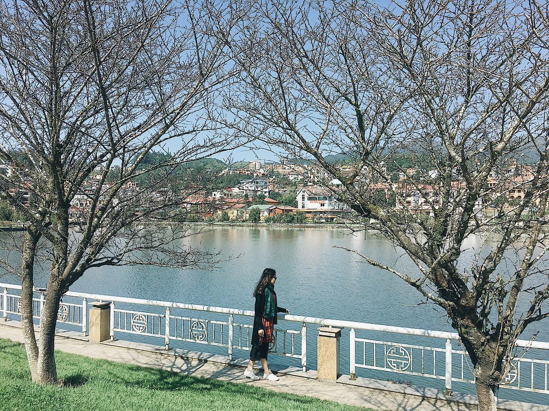 Hồ Sapa: Thiên đường xanh giữa nắng hè nóng rực - Halo Travel