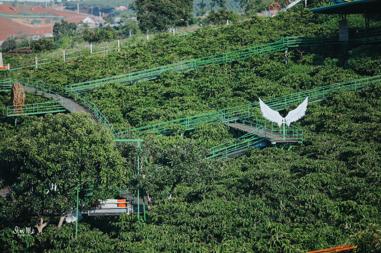 Cafe Mê Linh Đà Lạt, quán cafe view 360 độ đẹp nhất phố núi - HaloTravel