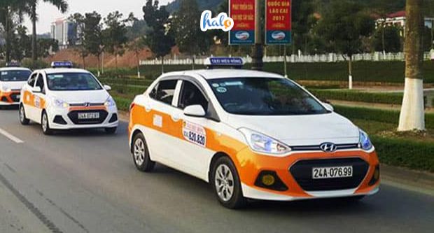 Cập nhật 10 hãng taxi Sapa: số điện thoại, địa chỉ đầy đủ nhất - HaloTravel