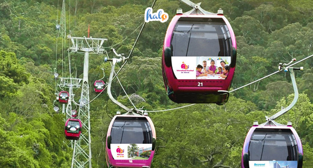 Kinh nghiệm đi cáp treo Tà Cú: giá vé, đường đi, có gì hấp dẫn -HaloTravel