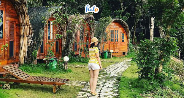 Khám phá 3 resort Cô Tô đáng đến nhất 2022 - Halo Travel