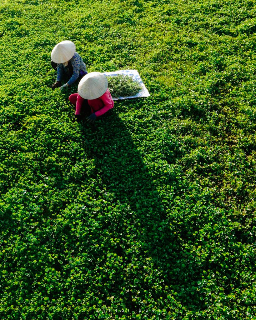 Nét đẹp Việt Nam đầy độc đáo trong bộ ảnh của chàng trai 9X - HaloTravel