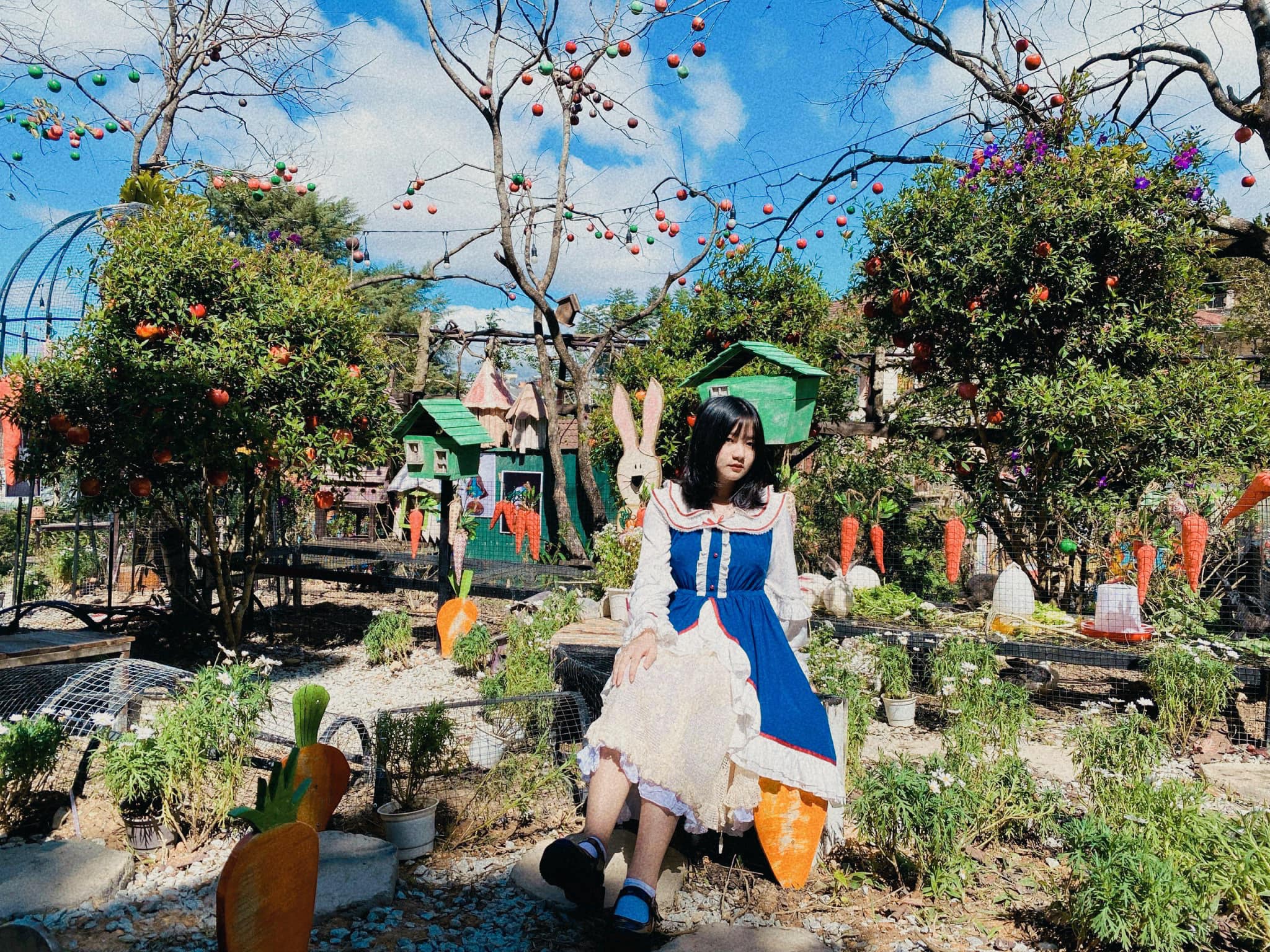 Magic Land Đà Lạt: Khu check in huyền bí và ảo diệu - Halo Travel