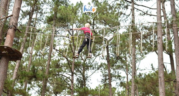 Giá vé Zipline Đà Lạt và trải nghiệm đu dây tại Datanla High Rope Course