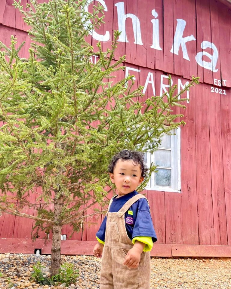 Review Chika Farm Đà Lạt có gì kèm giá vé vào và hướng dẫn đường đi