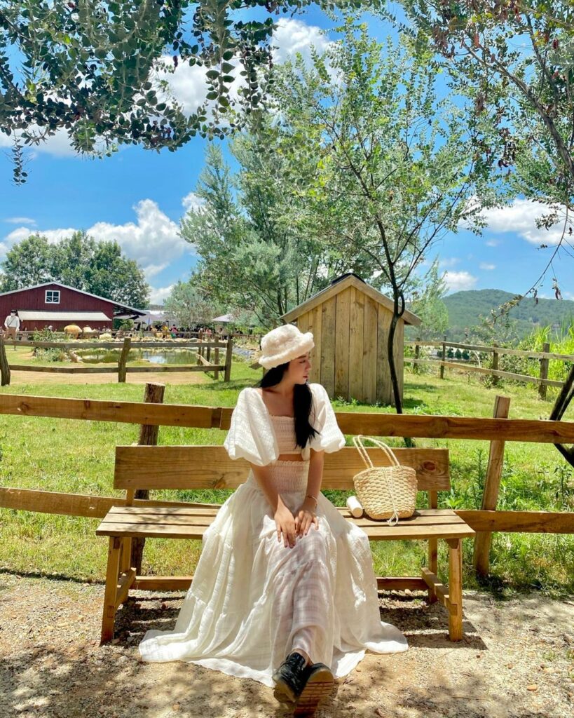 Review Chika Farm Đà Lạt có gì kèm giá vé vào và hướng dẫn đường đi