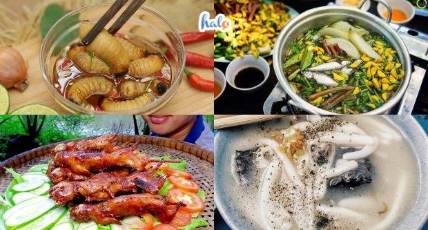Top 20+ đặc sản Bến Tre ăn ngon, làm quà nức lòng du khách - HaloTravel